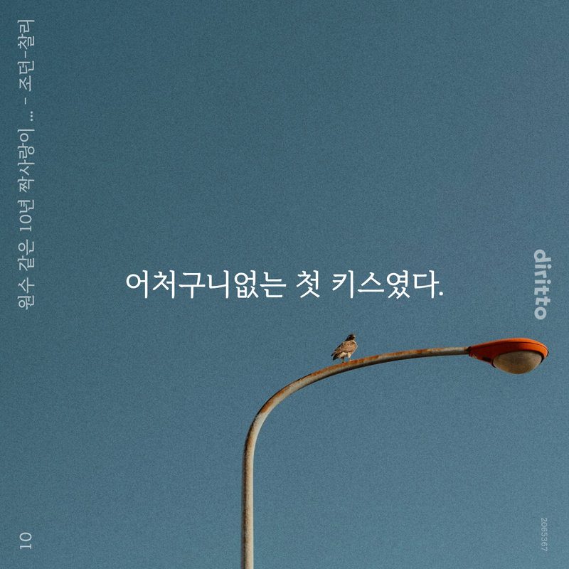 - 조던-찰리 | 디리토